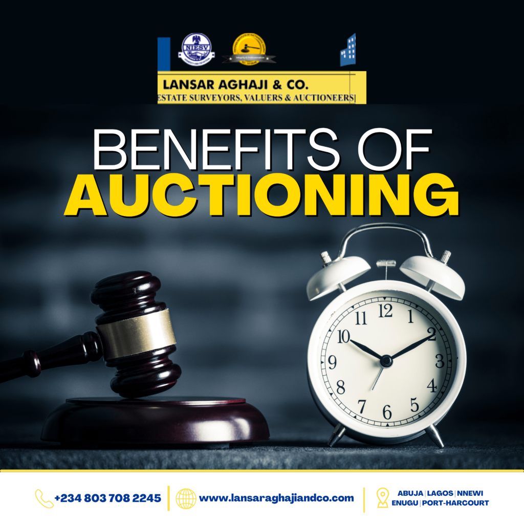 Auction consultant in Nigeria, Africa - Auctioneers in Africa